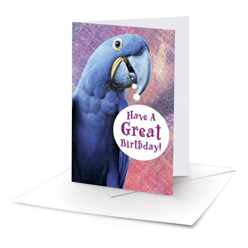 Have A Great Birthday… Parrot Card (Package of 30)|Teacher Appreciation ...